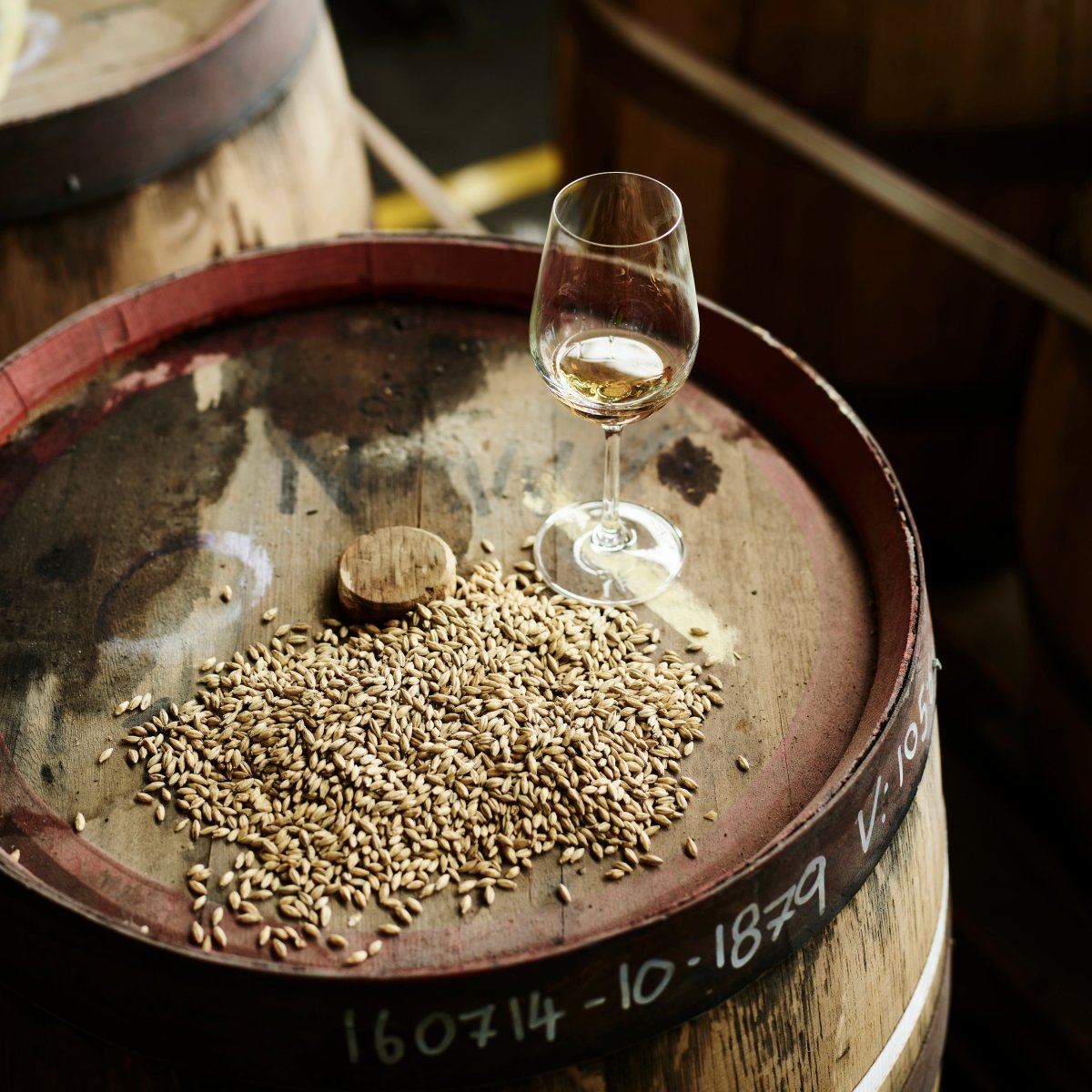 What Is Whisky Made From? | Starward AU